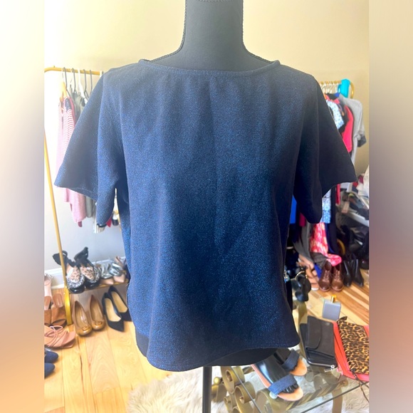 Tops | Zara Blue Metallic Top Nwot Size Medium | Poshmark